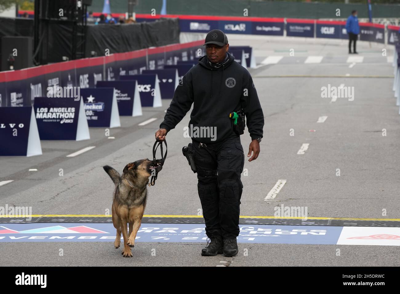 Canine bomb detection hi-res stock photography and images - Alamy