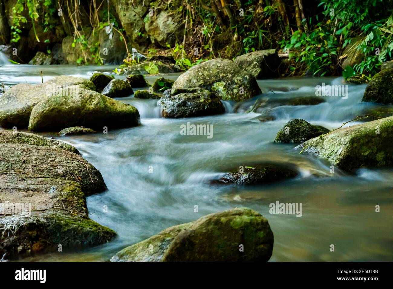 The river flows through the rocks of the creek in the forest. a ...