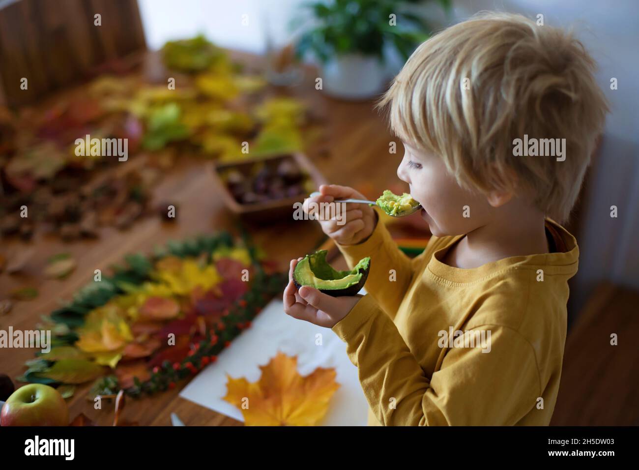Sweet child, boy, eating avocado while applying leaves using glue while ...