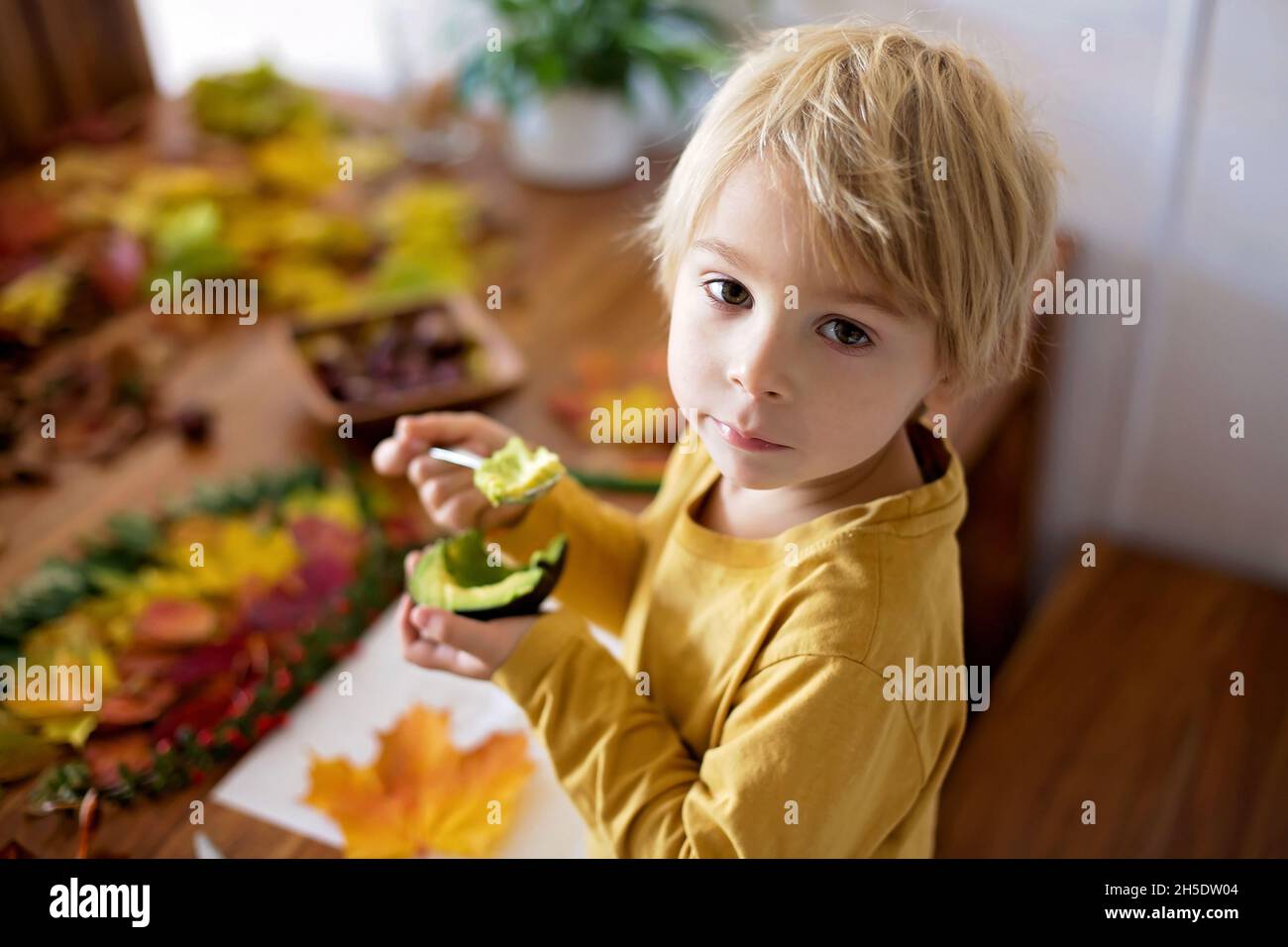 Sweet child, boy, eating avocado while applying leaves using glue while ...