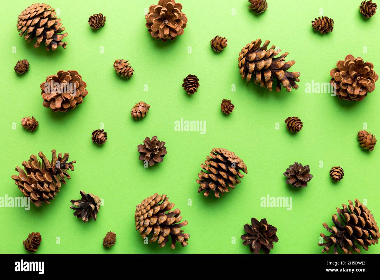 pine cones on colored table. natural holiday background with pinecones ...