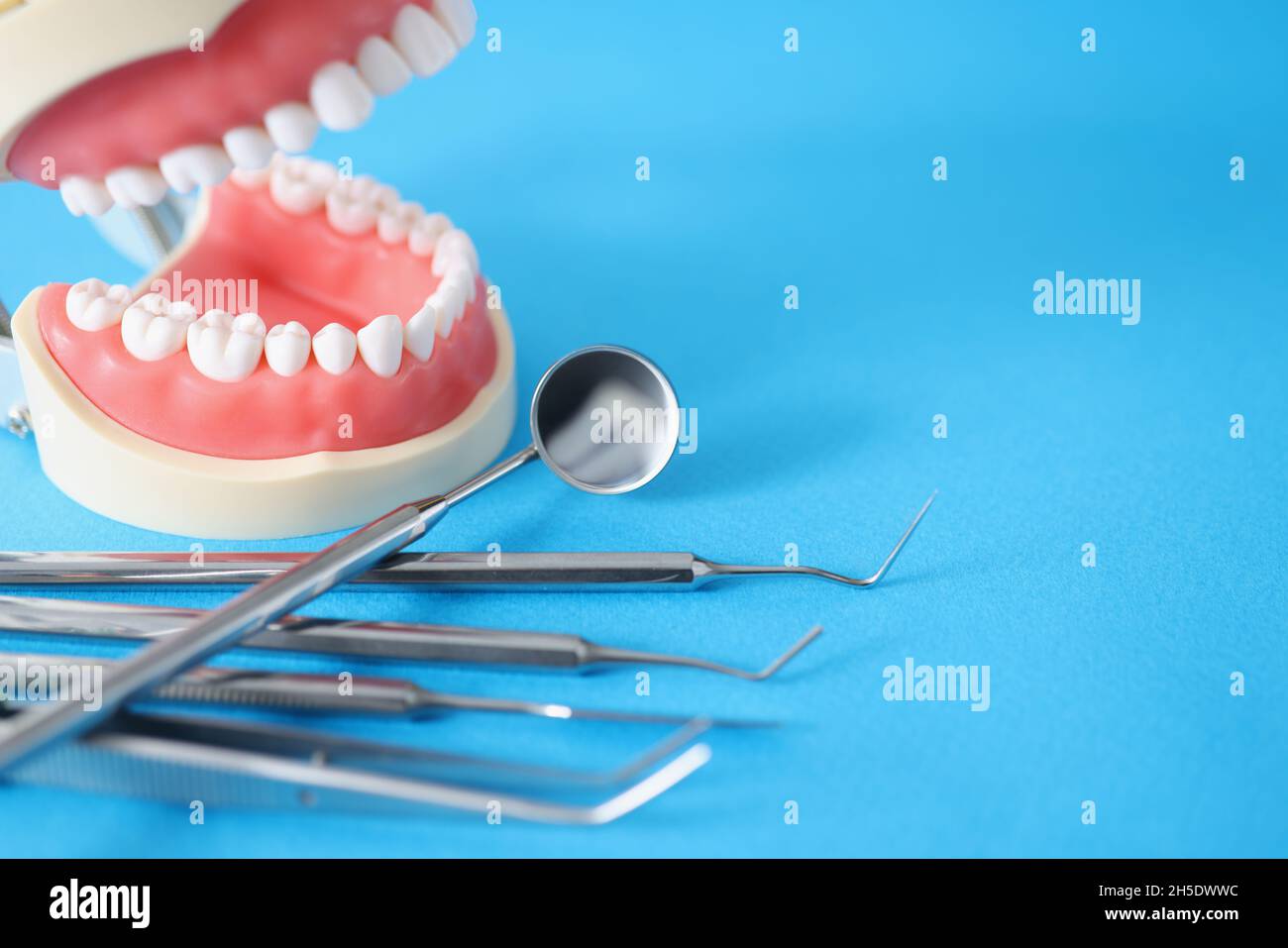 Dental steel instruments lying with artificial jaws on blue background ...
