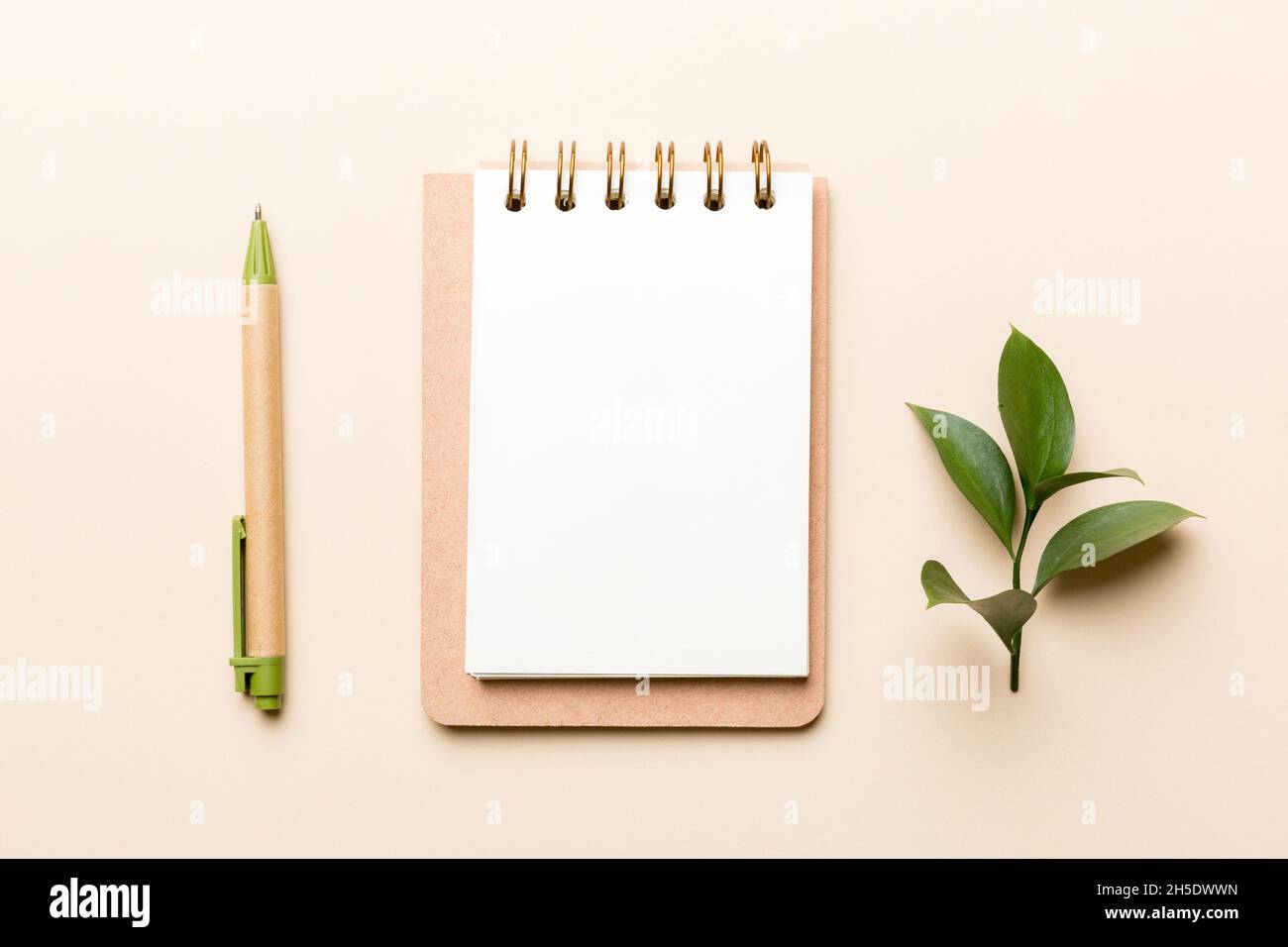 eco-friendly Empty notebook with pen and green leaf on Colored ...