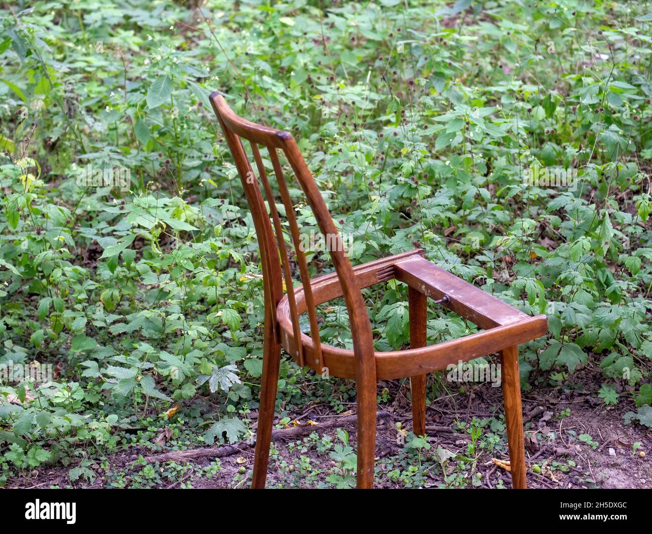broken wooden chair in the woods, in summer Stock Photo - Alamy