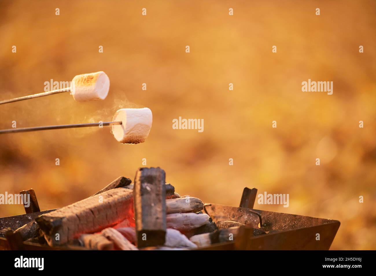 Fall camp marshmallow hi-res stock photography and images - Alamy
