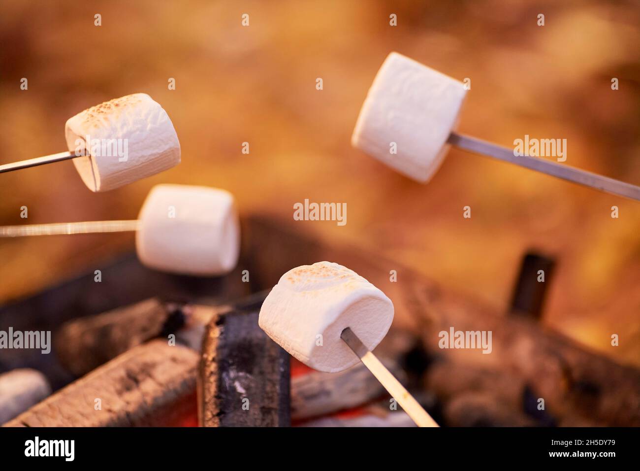 Fall camp marshmallow hi-res stock photography and images - Alamy