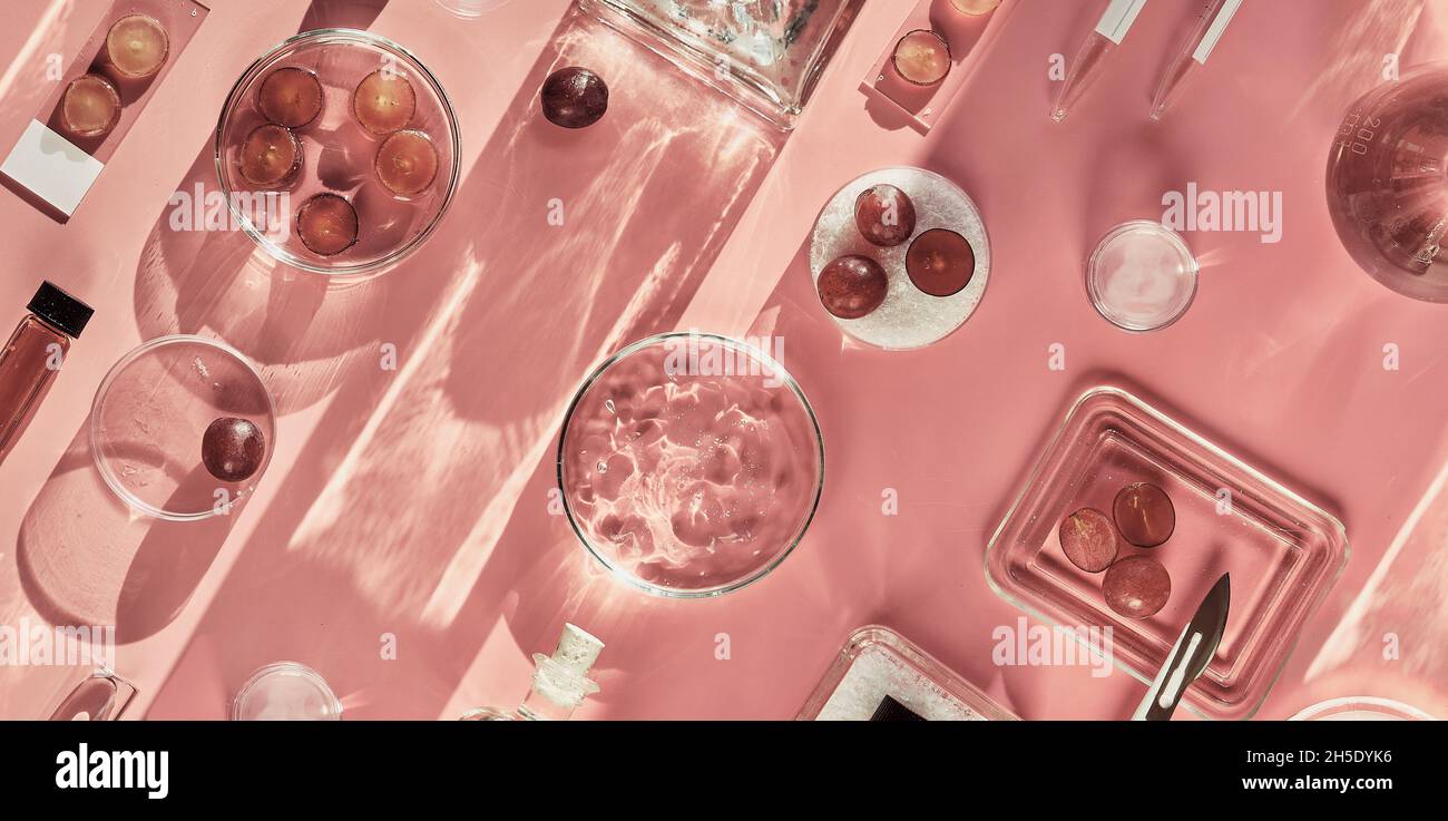 Cosmetic skincare background with red grapes. Abstract pink flat lay ...