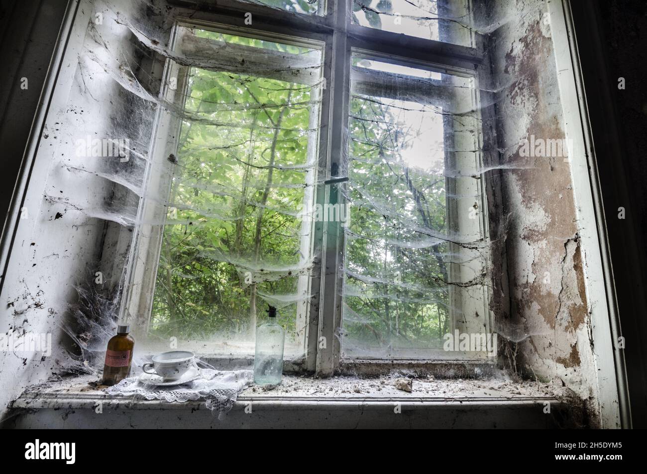 windows and many cobwebs Stock Photo - Alamy