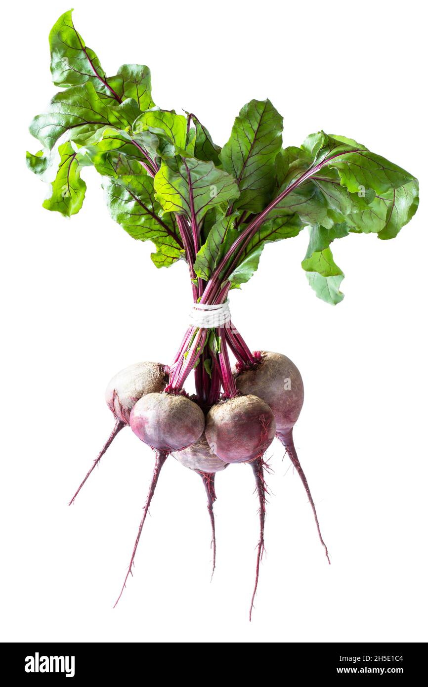 Bunch of red beetroot with leaves isolated on white Stock Photo - Alamy