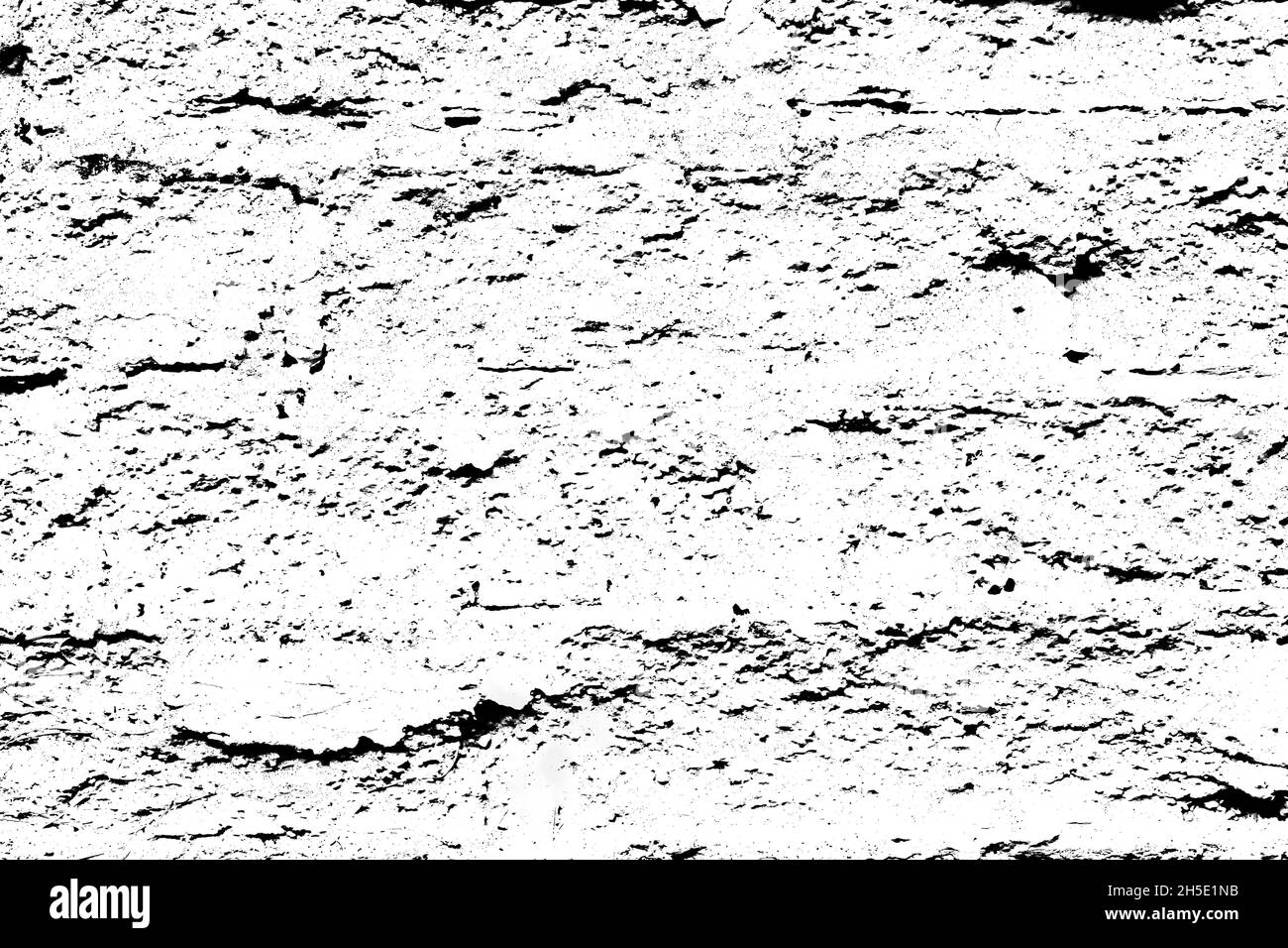 Black and white texture, abstract contrast texture natural surface for ...