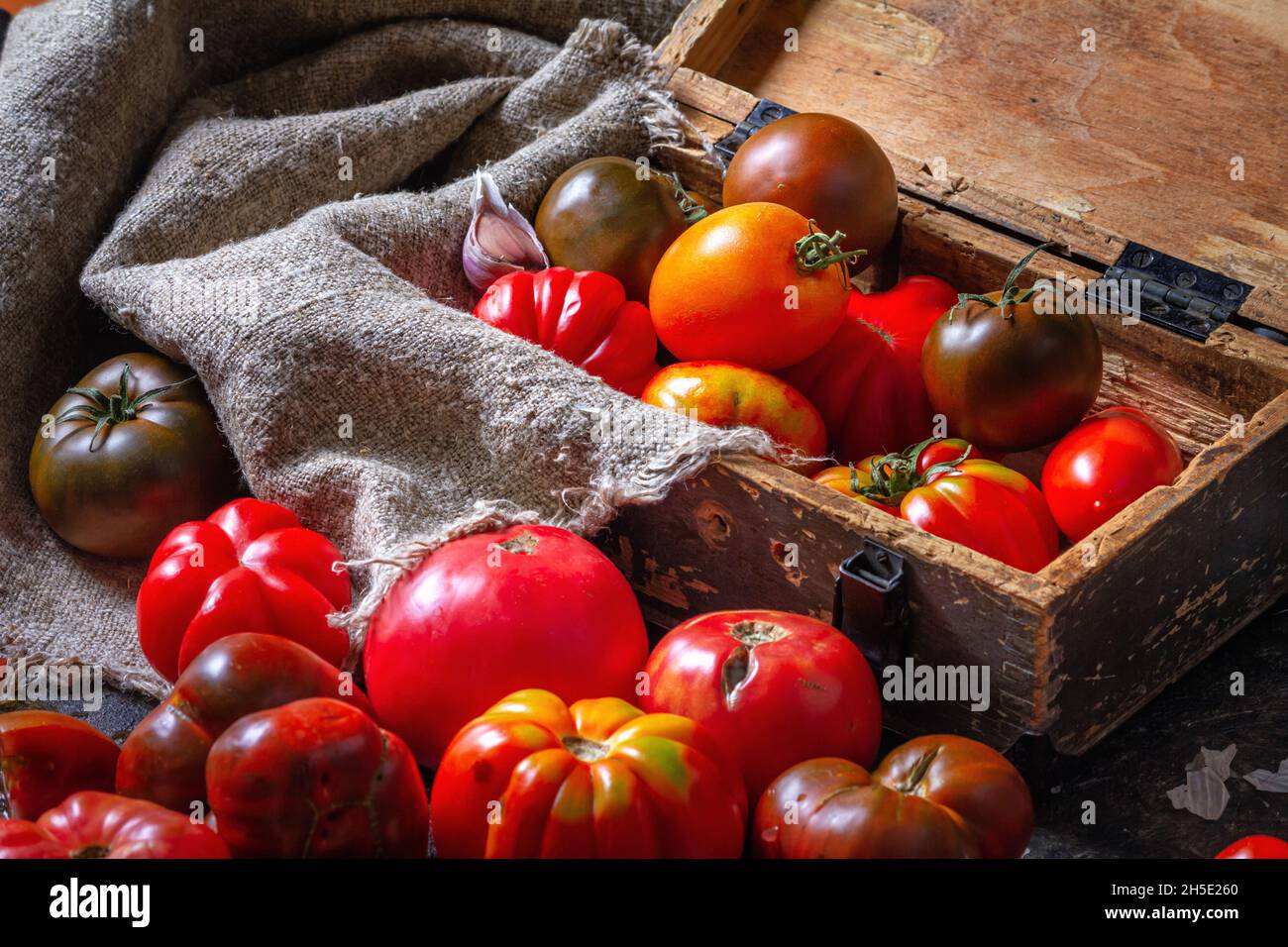 Harvest organic assorted tomatoes - red, yellow, orange, brown. Variety ...