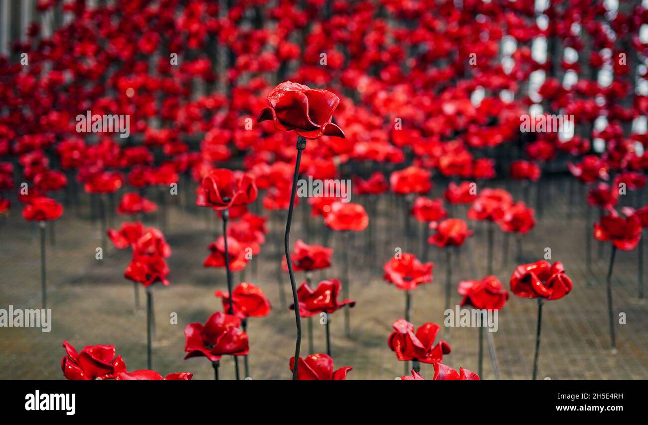 "Poppies: Wave and Weeping Window", a new artwork comprising of ...