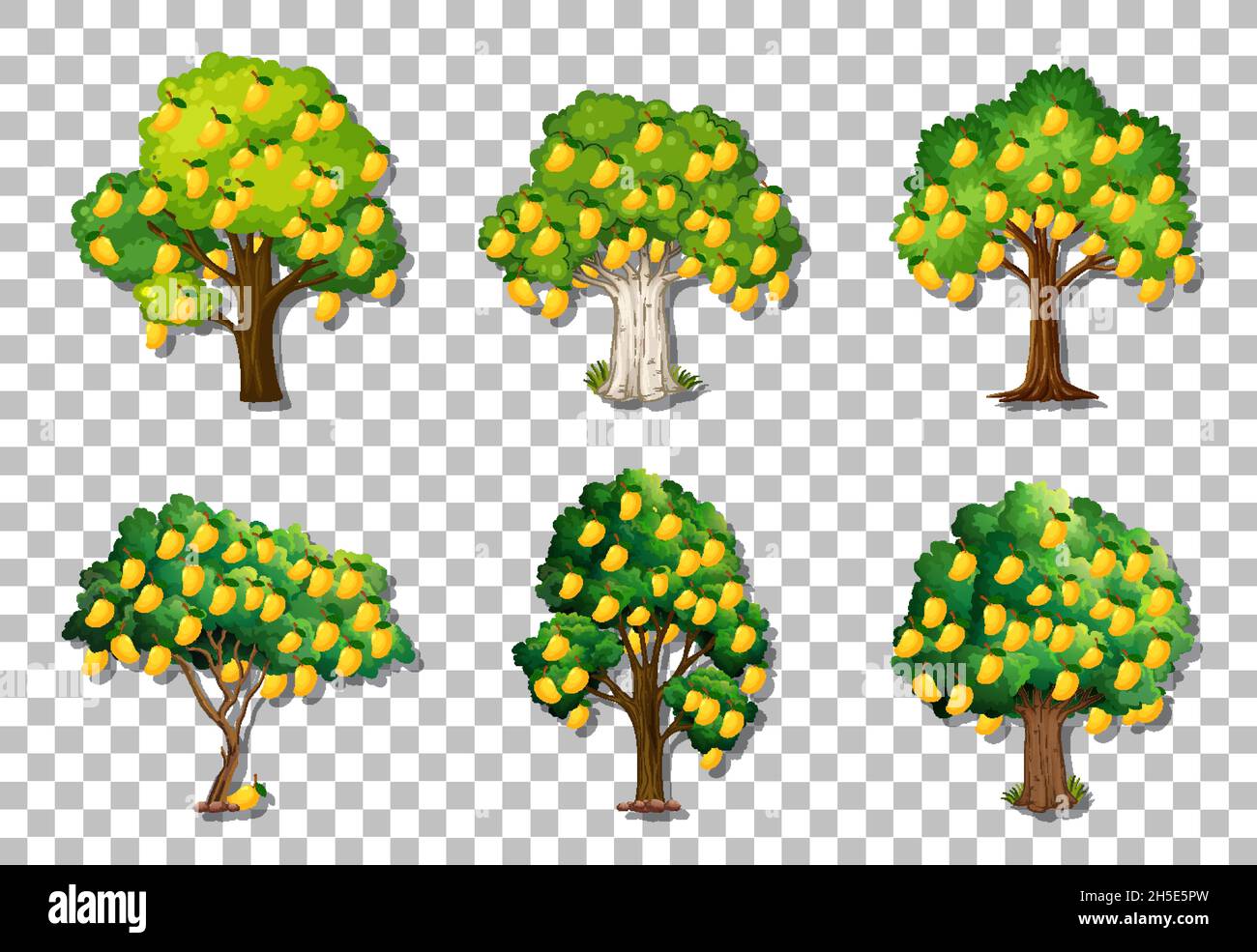 Set of variety mango trees on transparent background illustration Stock ...