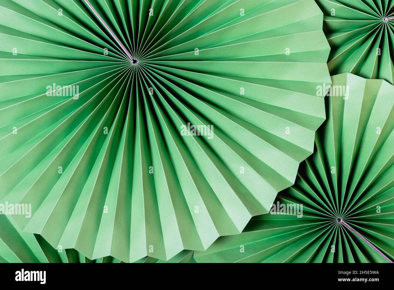 Textured background of green paper fans decorations in different sizes ...
