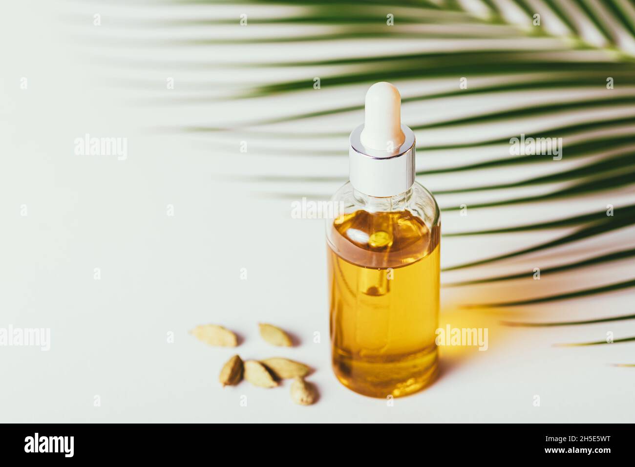 Cardamom essential oil bottle next to seeds and green plant on white ...