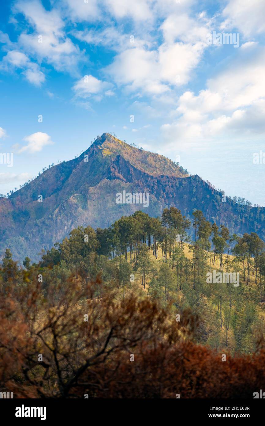 Stunning view of a mountain range with beautiful lush vegetation in the ...