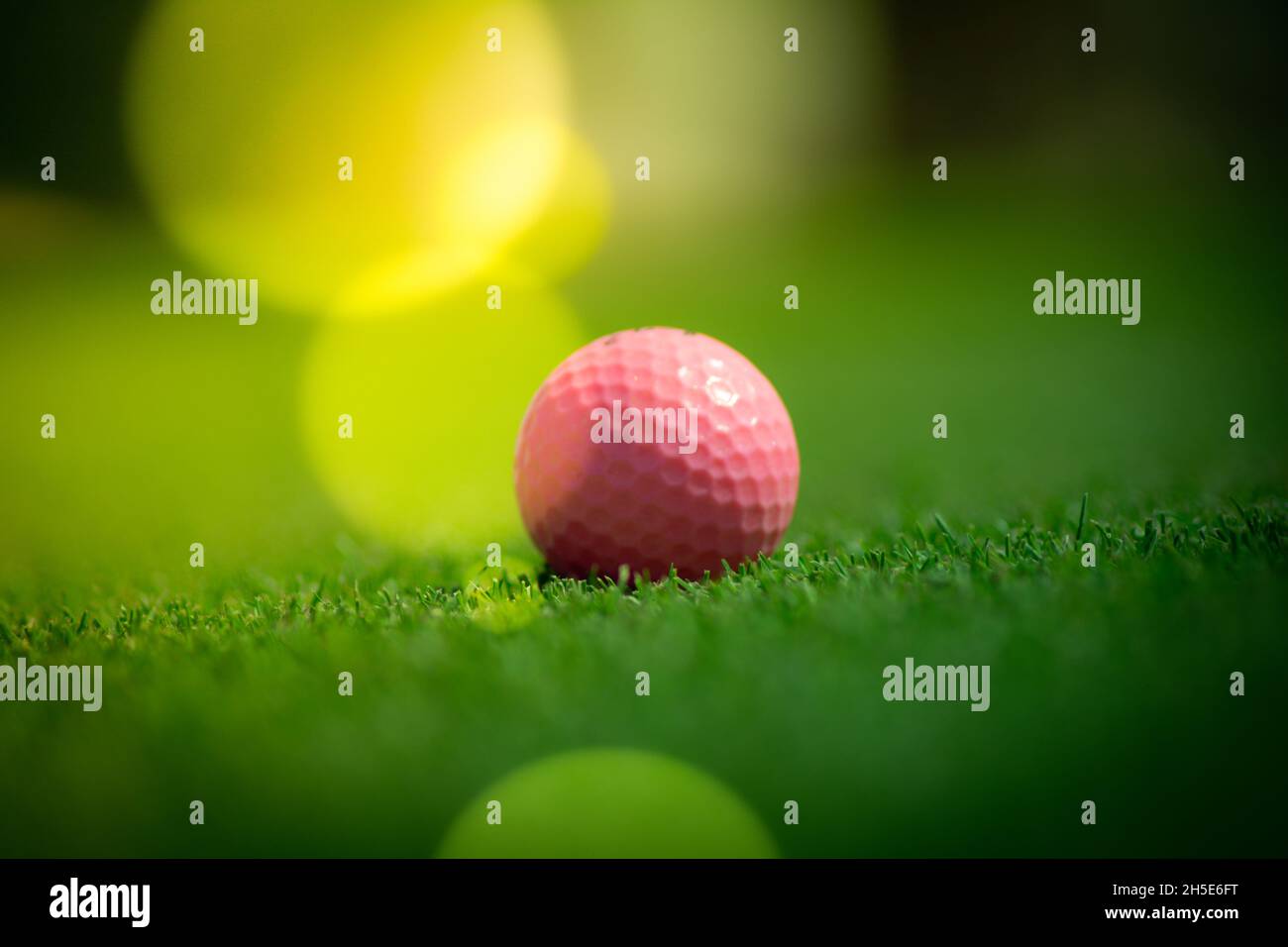 Pink golf ball hi-res stock photography and images - Alamy