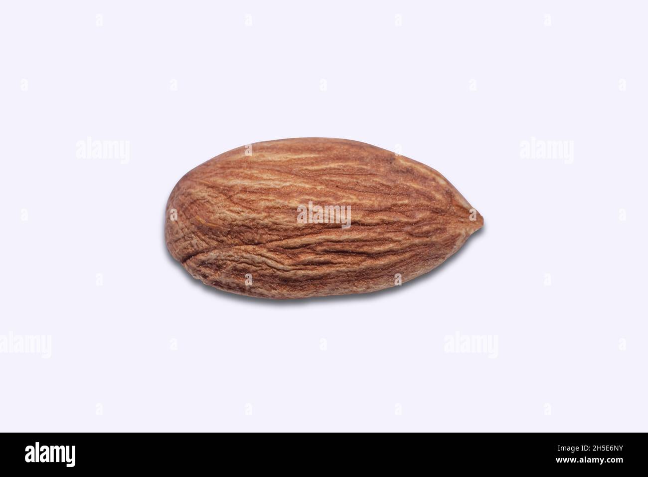 Almond single isolated macro photography Stock Photo - Alamy