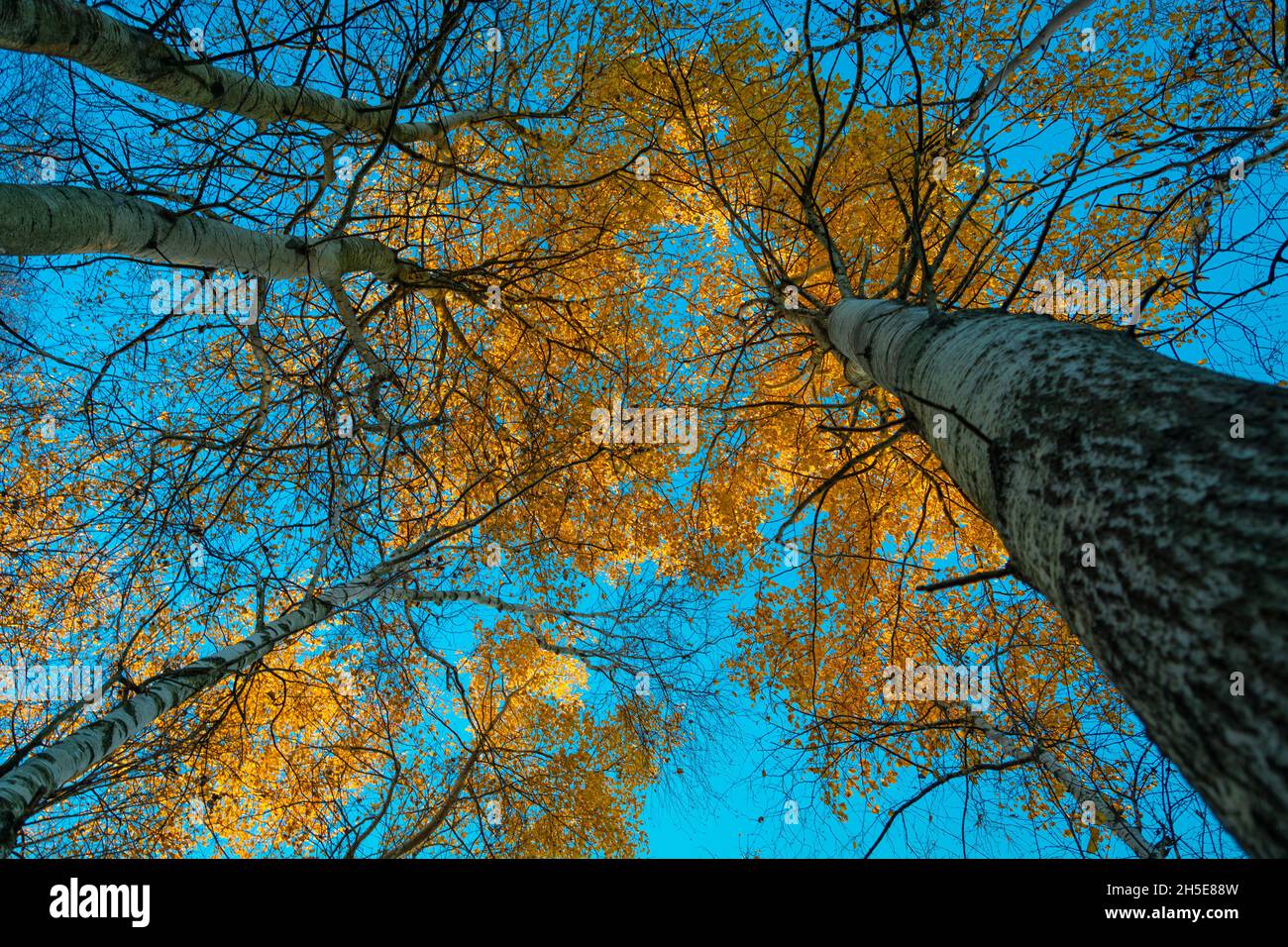 October sky hi-res stock photography and images - Alamy