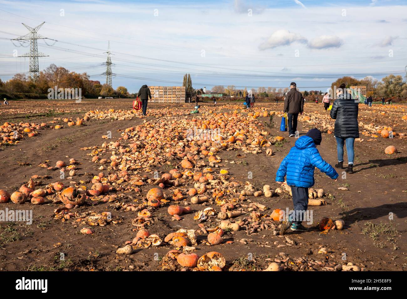 Krummes gemuese hi-res stock photography and images - Alamy