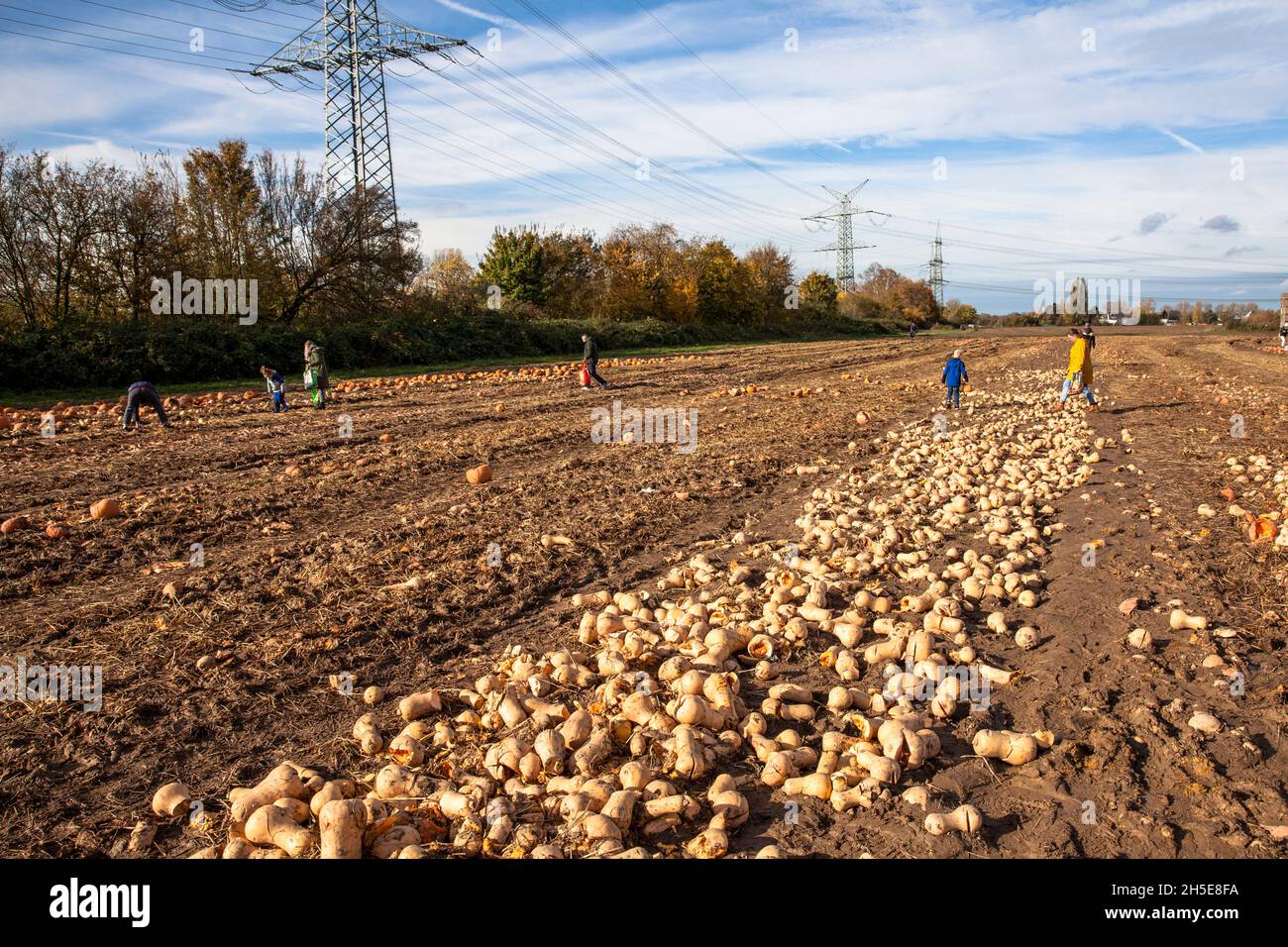 Krummes gemuese hi-res stock photography and images - Alamy