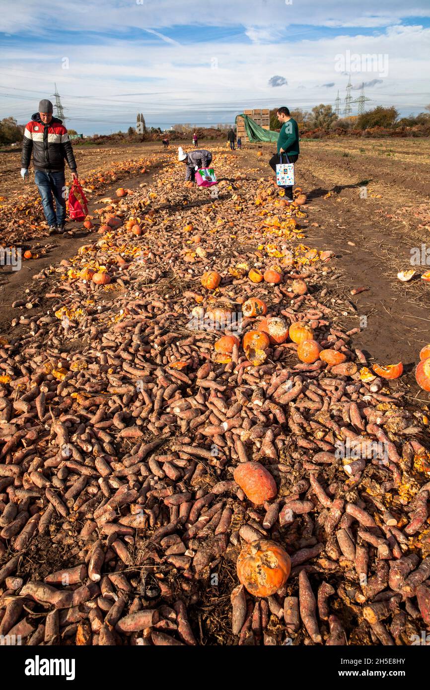 Krummes gemuese hi-res stock photography and images - Alamy