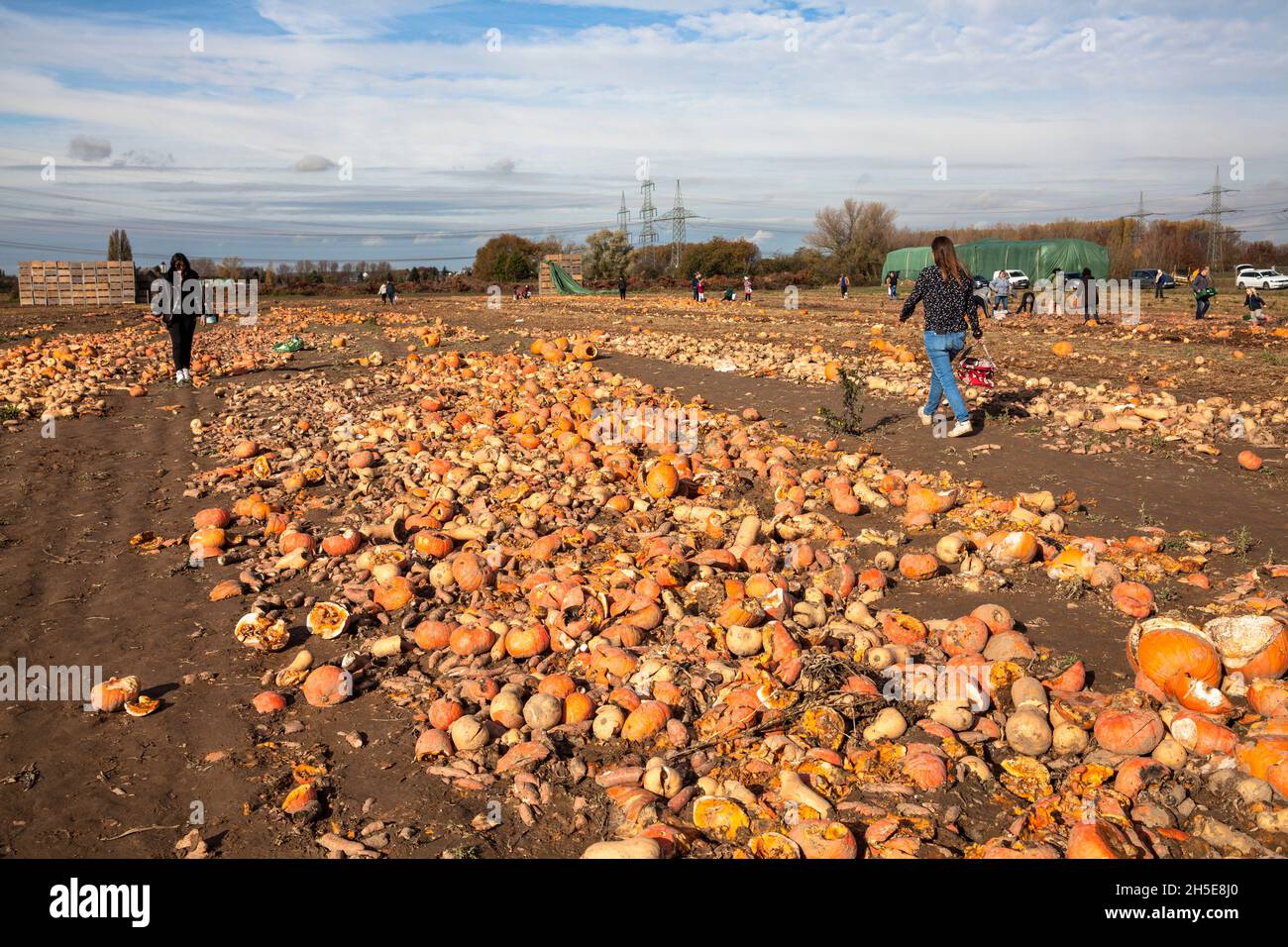 Krummes gemuese hi-res stock photography and images - Alamy