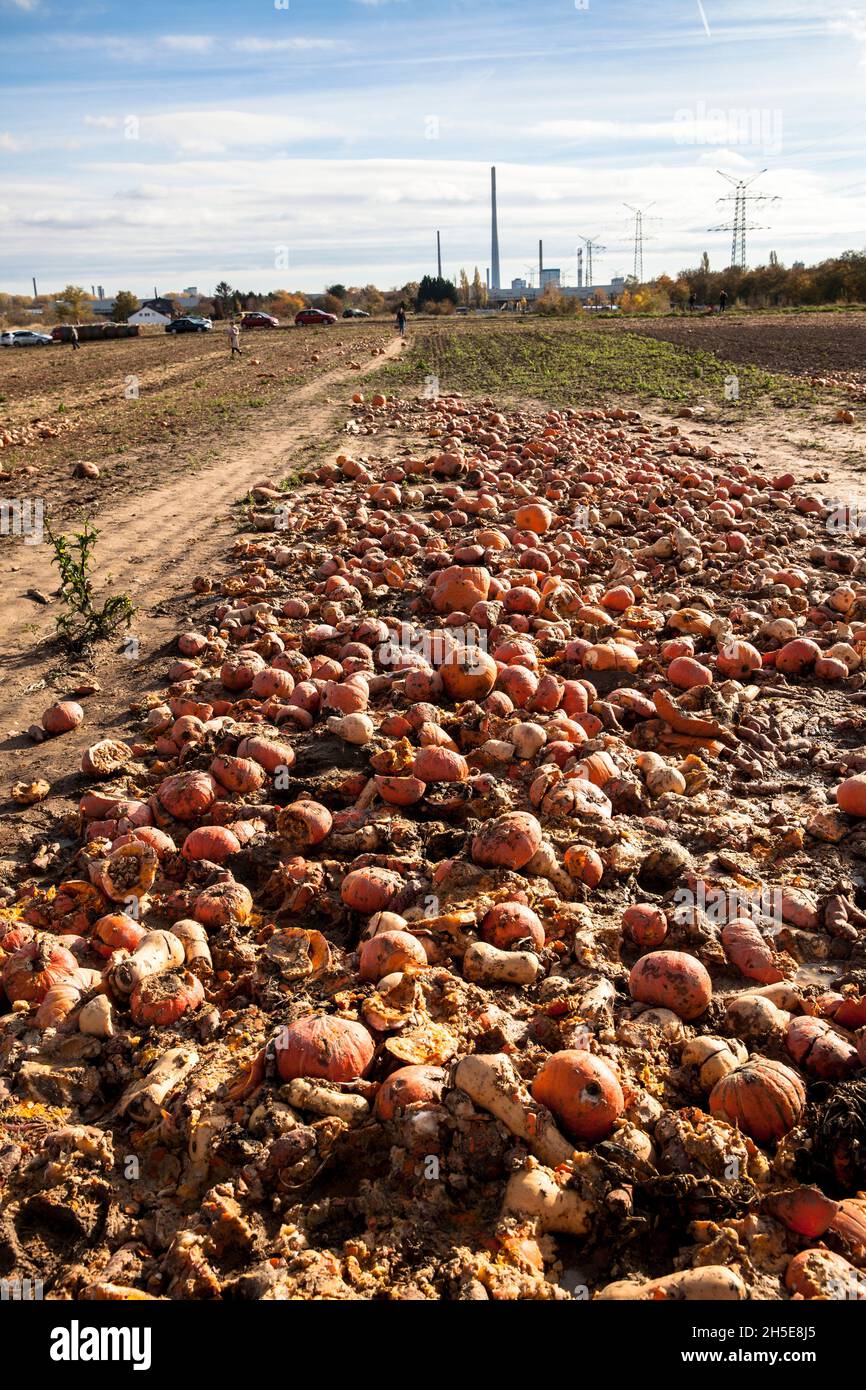 Krummes gemuese hi-res stock photography and images - Alamy