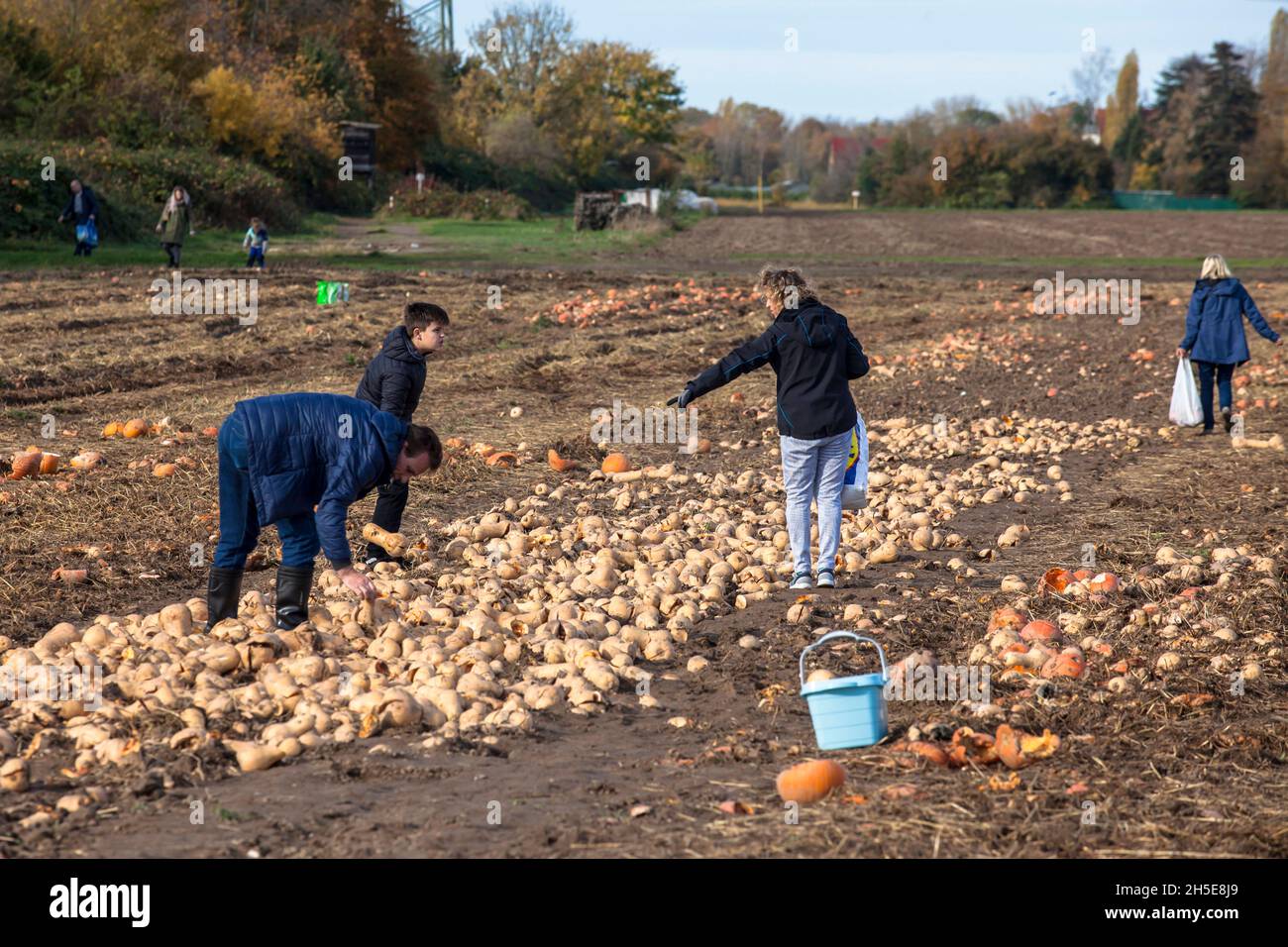 Krummes gemuese hi-res stock photography and images - Alamy