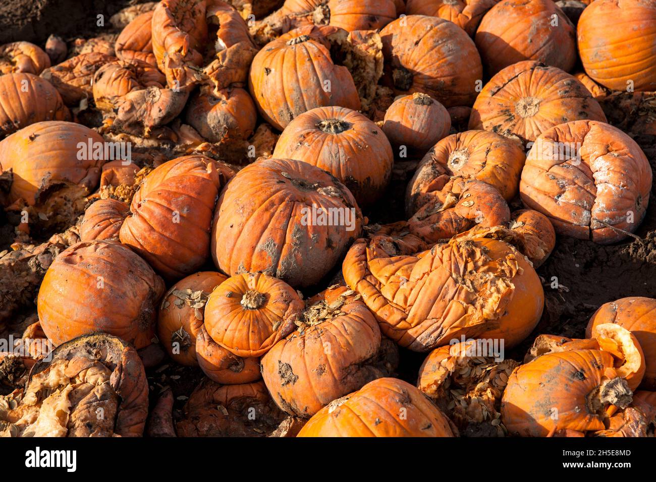 Krummes gemuese hi-res stock photography and images - Alamy