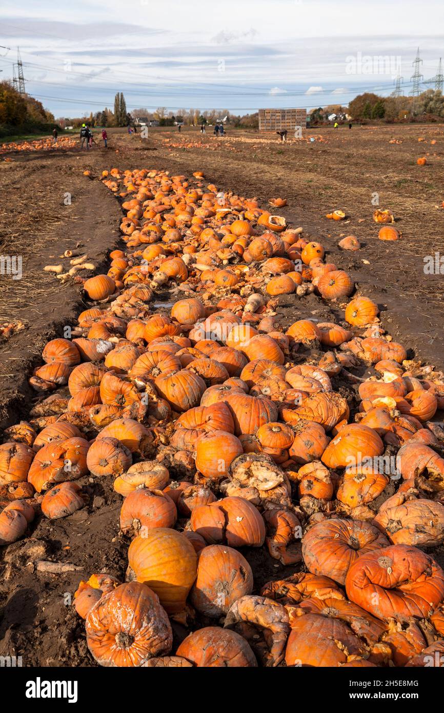 Krummes gemuese hi-res stock photography and images - Alamy