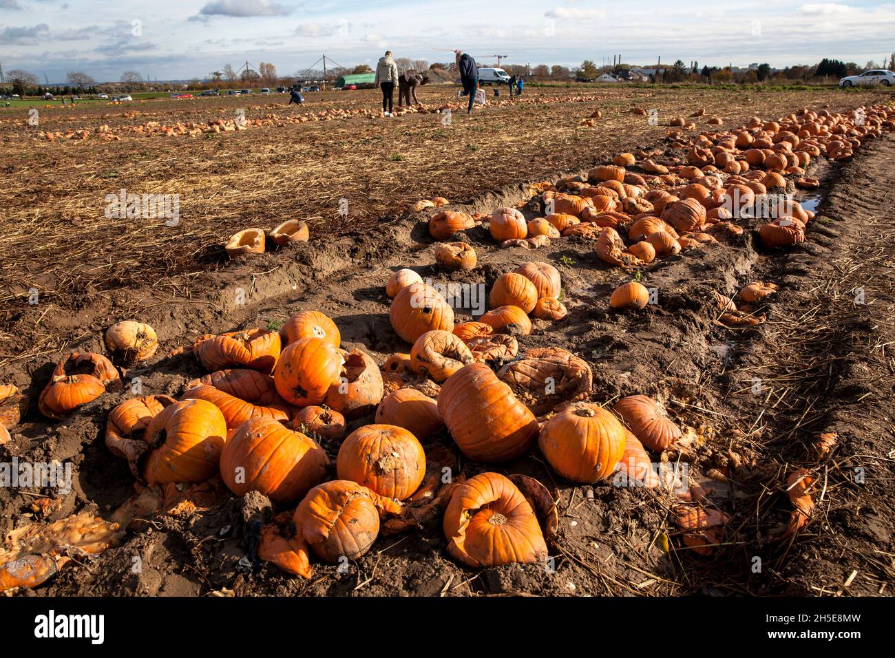 Krummes gemuese hi-res stock photography and images - Alamy