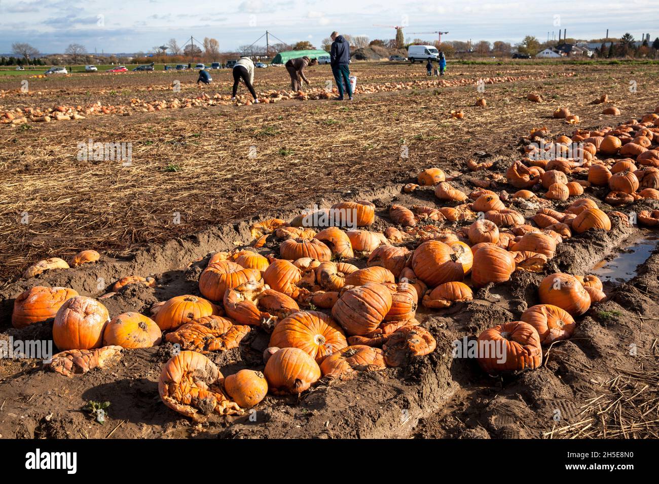 Krummes gemuese hi-res stock photography and images - Alamy