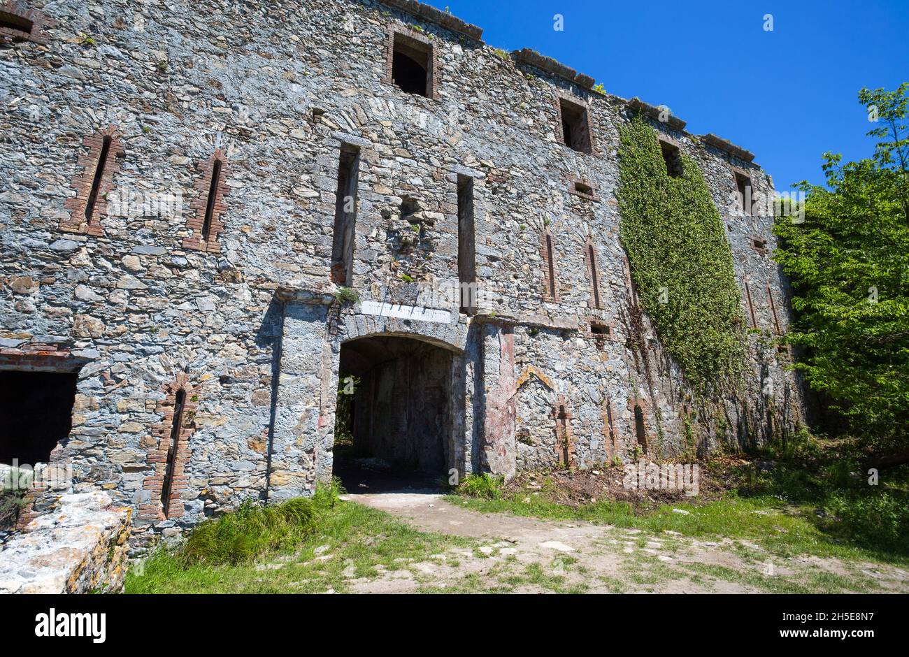 Forte ratti hi-res stock photography and images - Alamy
