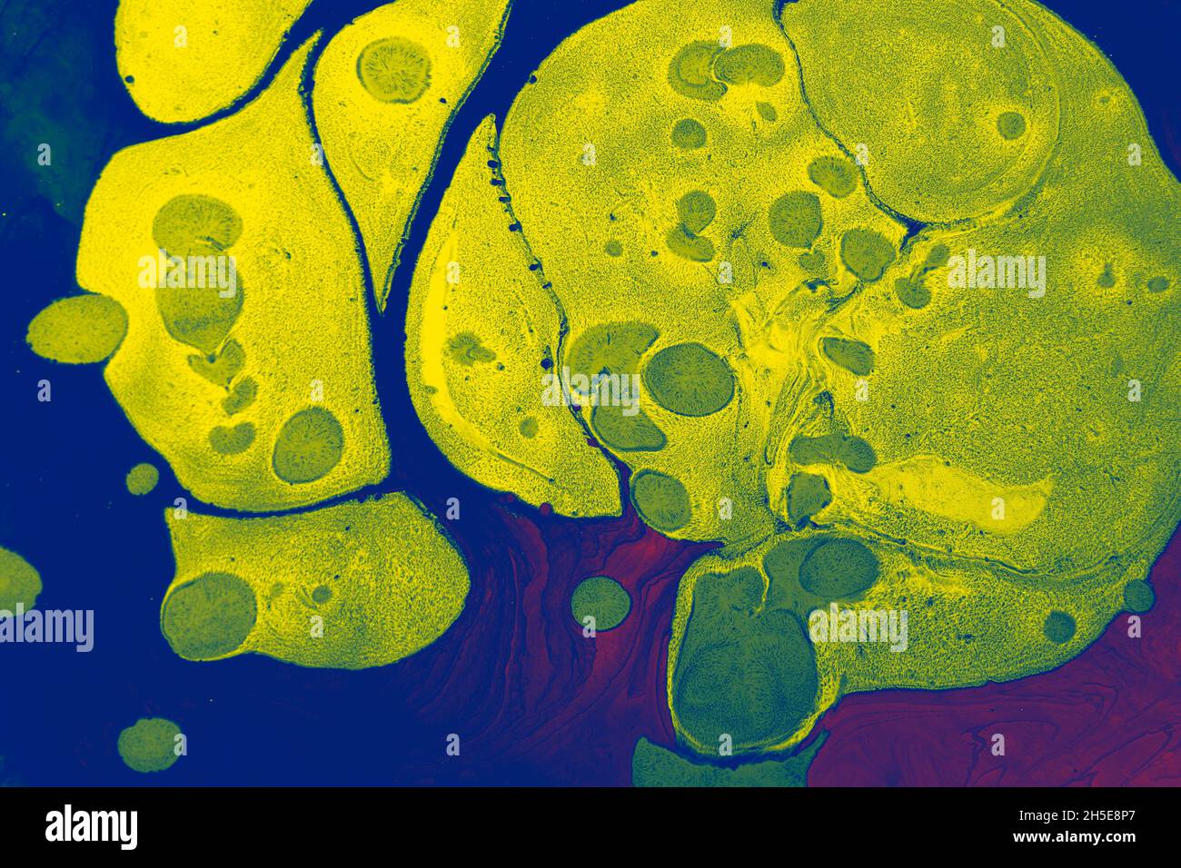 Abstract creative marble pattern texture. Traditional art of Ebru ...