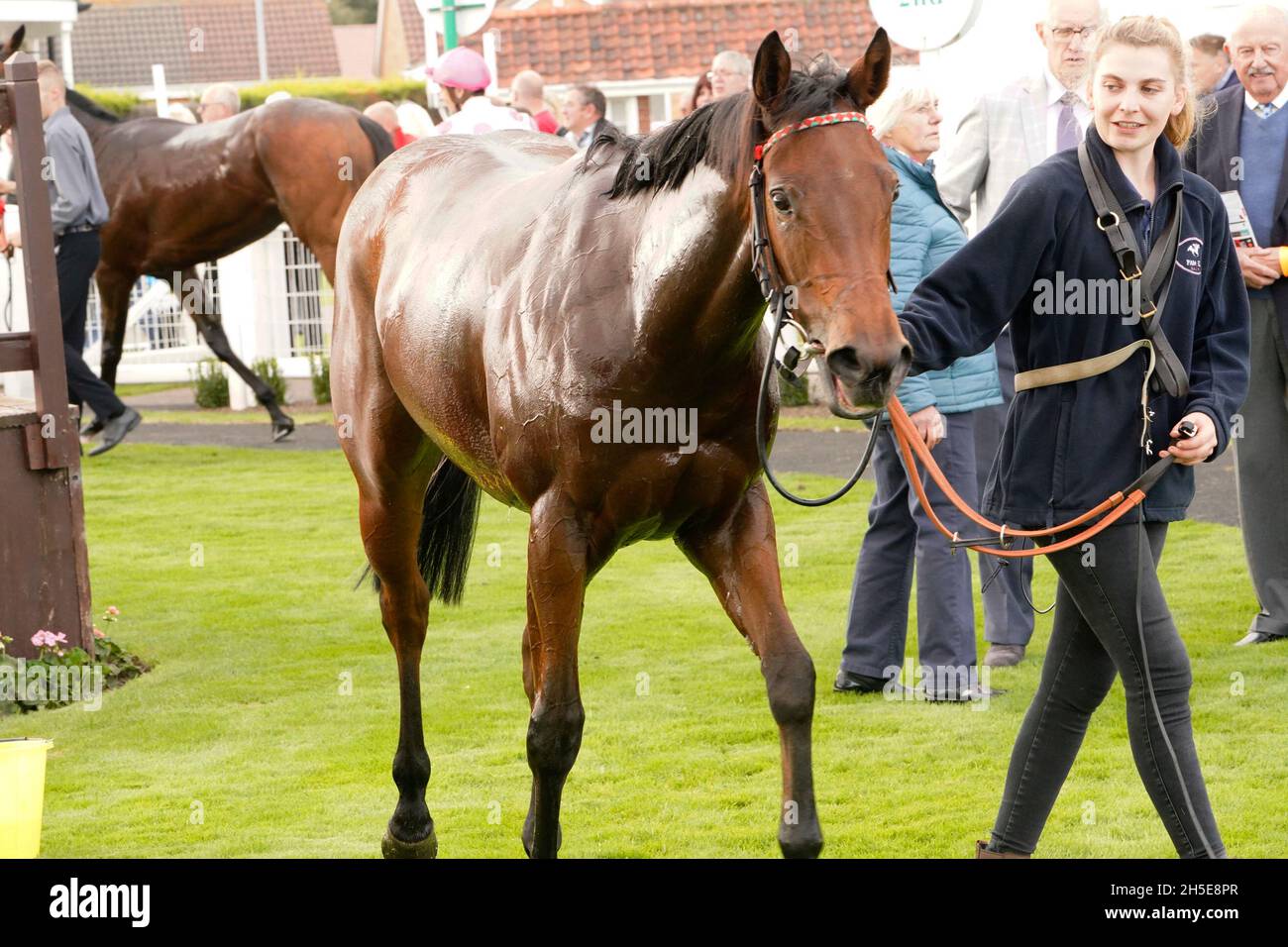 Taste of the atmosphere and thrill of a day at the races with the crowd ...