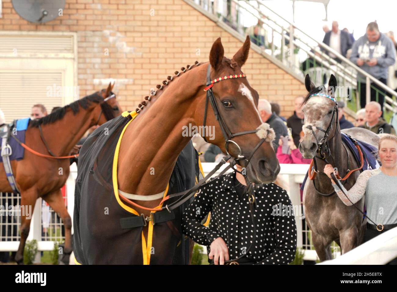 Taste of the atmosphere and thrill of a day at the races with the crowd ...