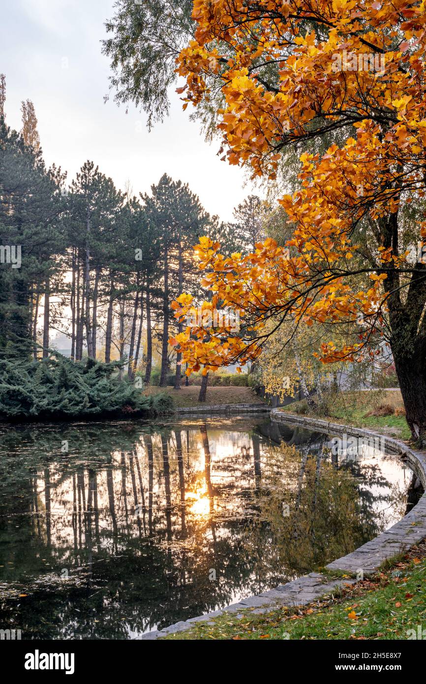 Vienna in morning mist hi-res stock photography and images - Alamy