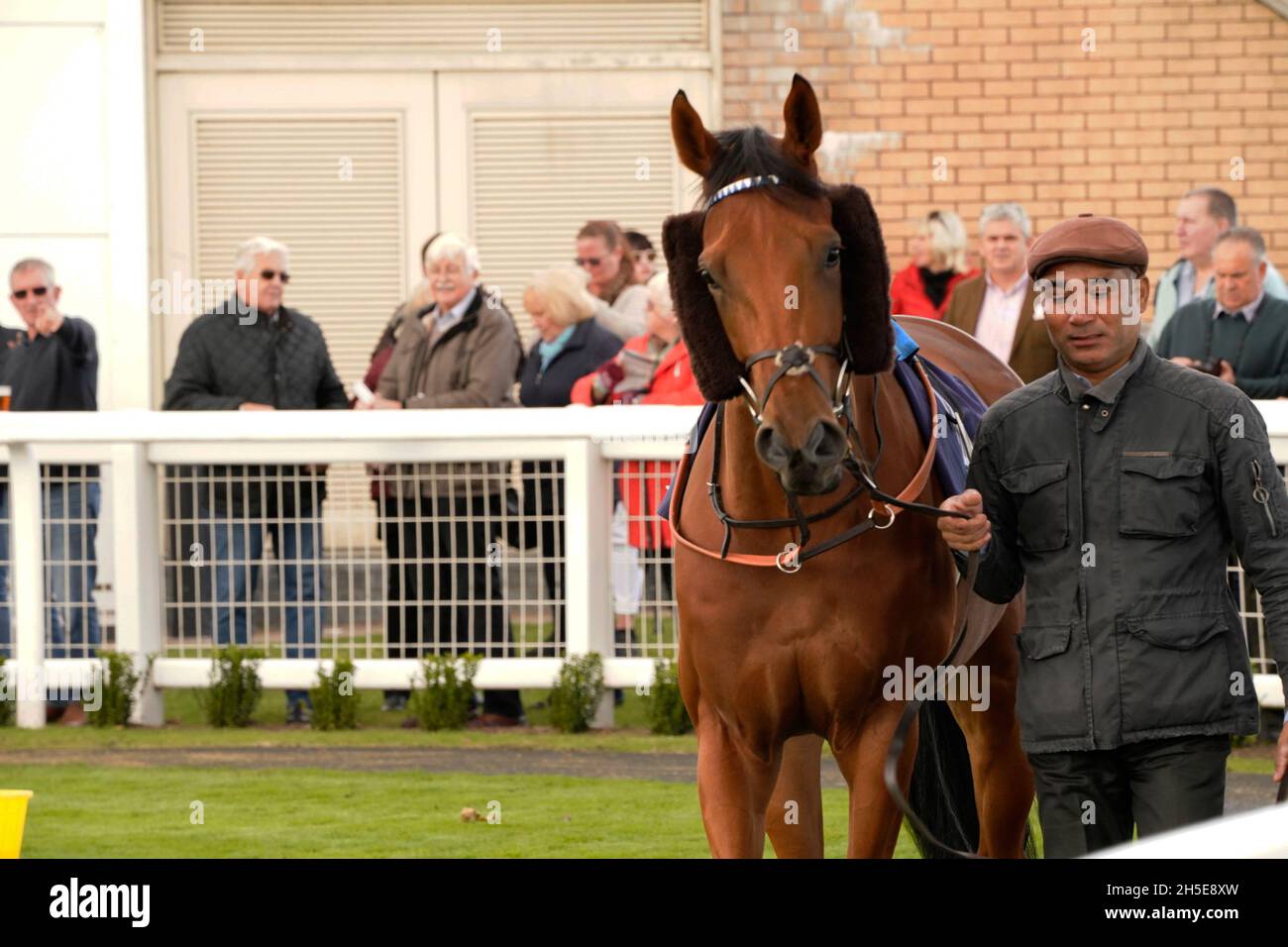 Taste of the atmosphere and thrill of a day at the races with the crowd ...
