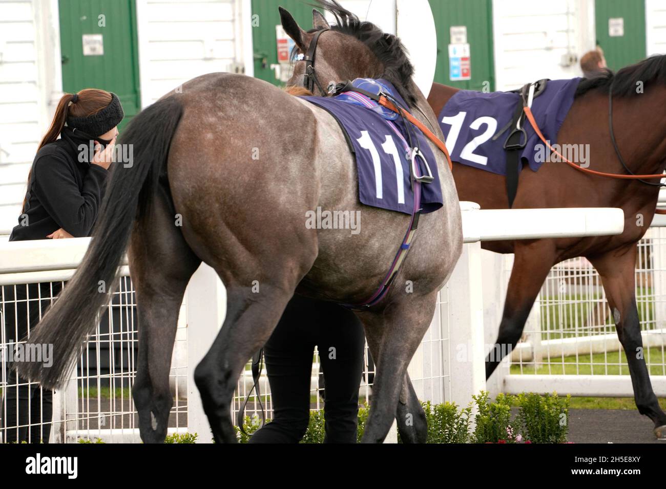 Taste of the atmosphere and thrill of a day at the races with the crowd ...