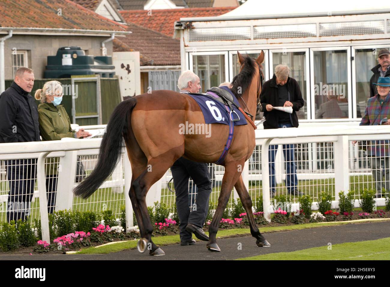 Taste of the atmosphere and thrill of a day at the races with the crowd ...