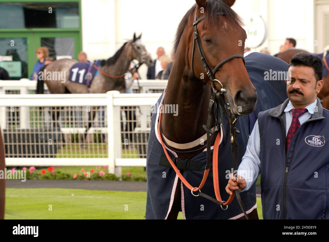 Taste of the atmosphere and thrill of a day at the races with the crowd ...