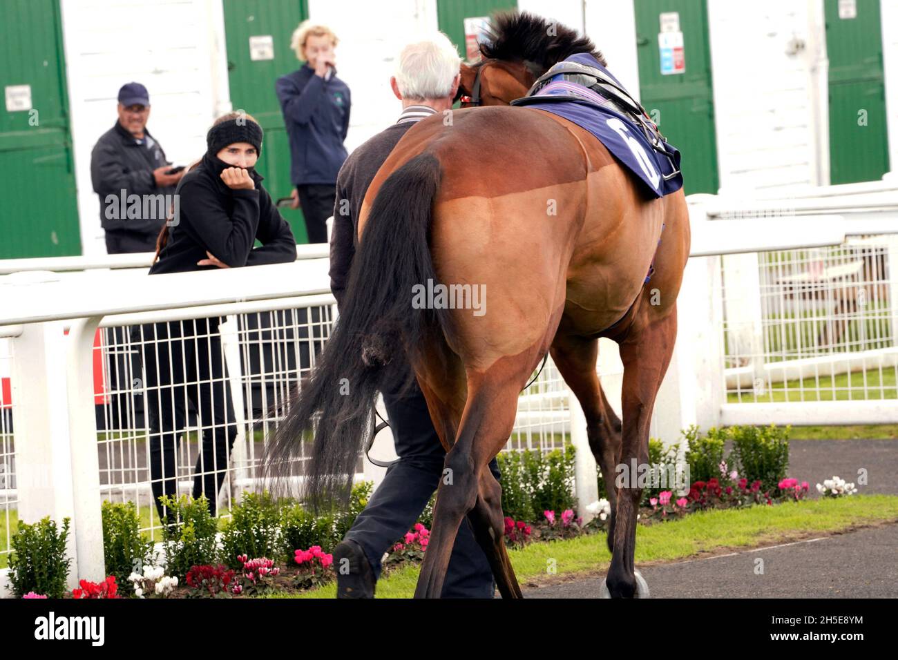 Taste of the atmosphere and thrill of a day at the races with the crowd ...