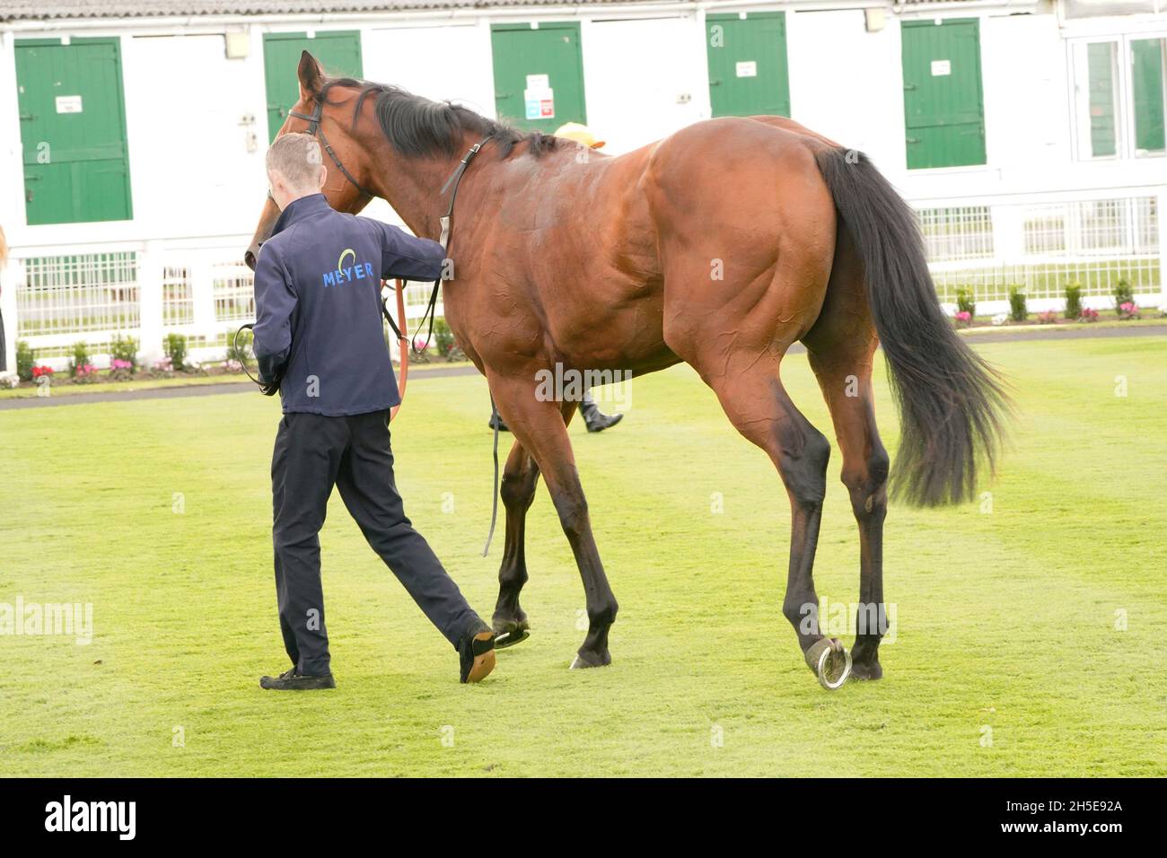 Taste of the atmosphere and thrill of a day at the races with the crowd ...