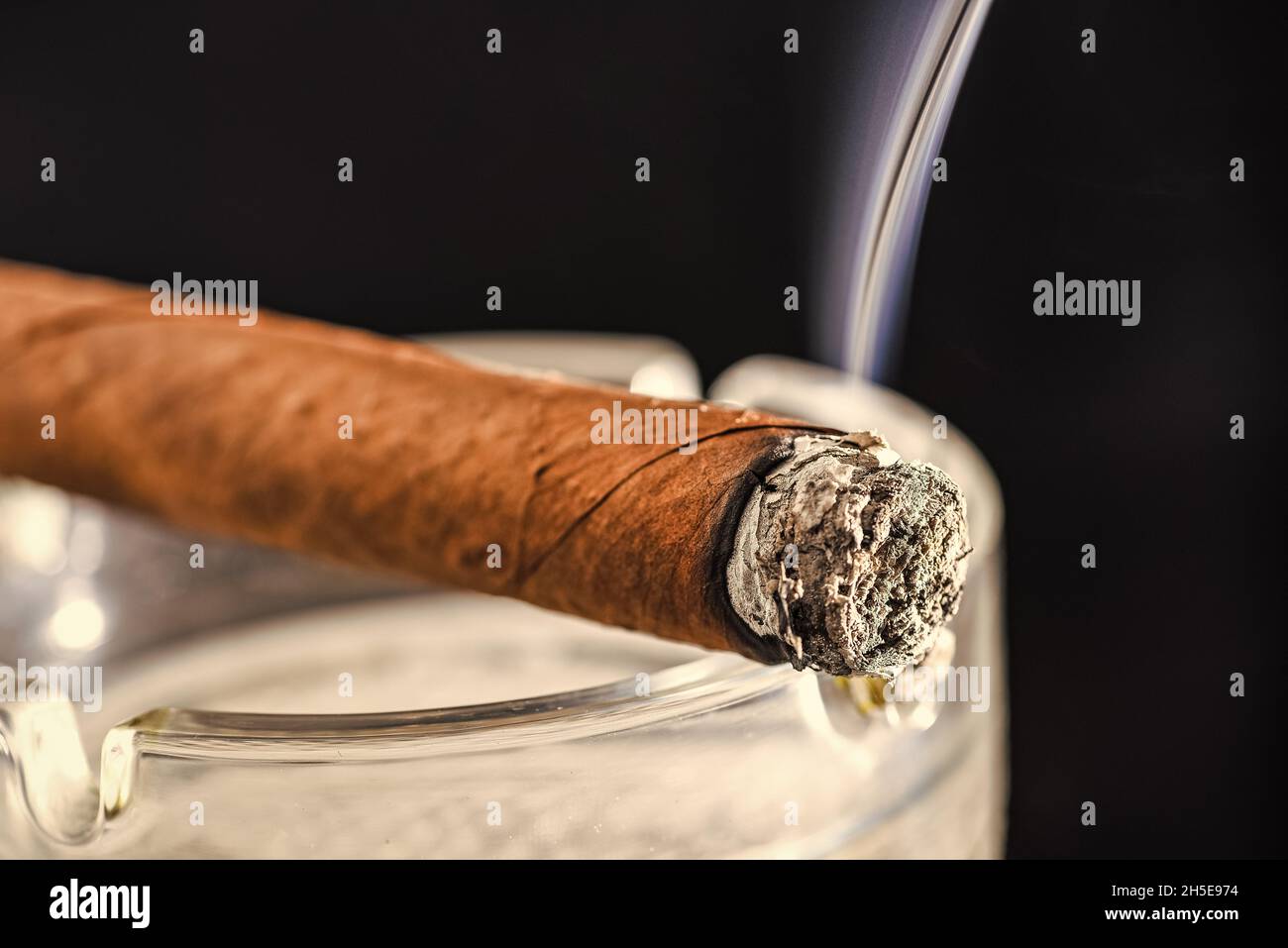 Lighting cuban cigar dark background. Tobacco smoking. Tobacco smoke ...