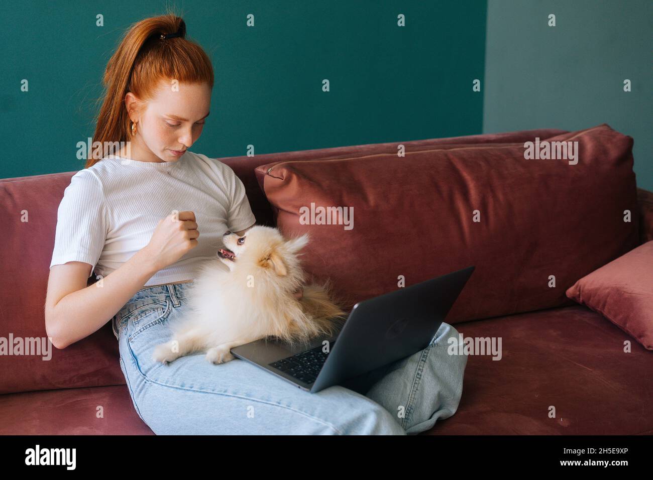 Attractive redhead young woman using laptop computer sitting on ...