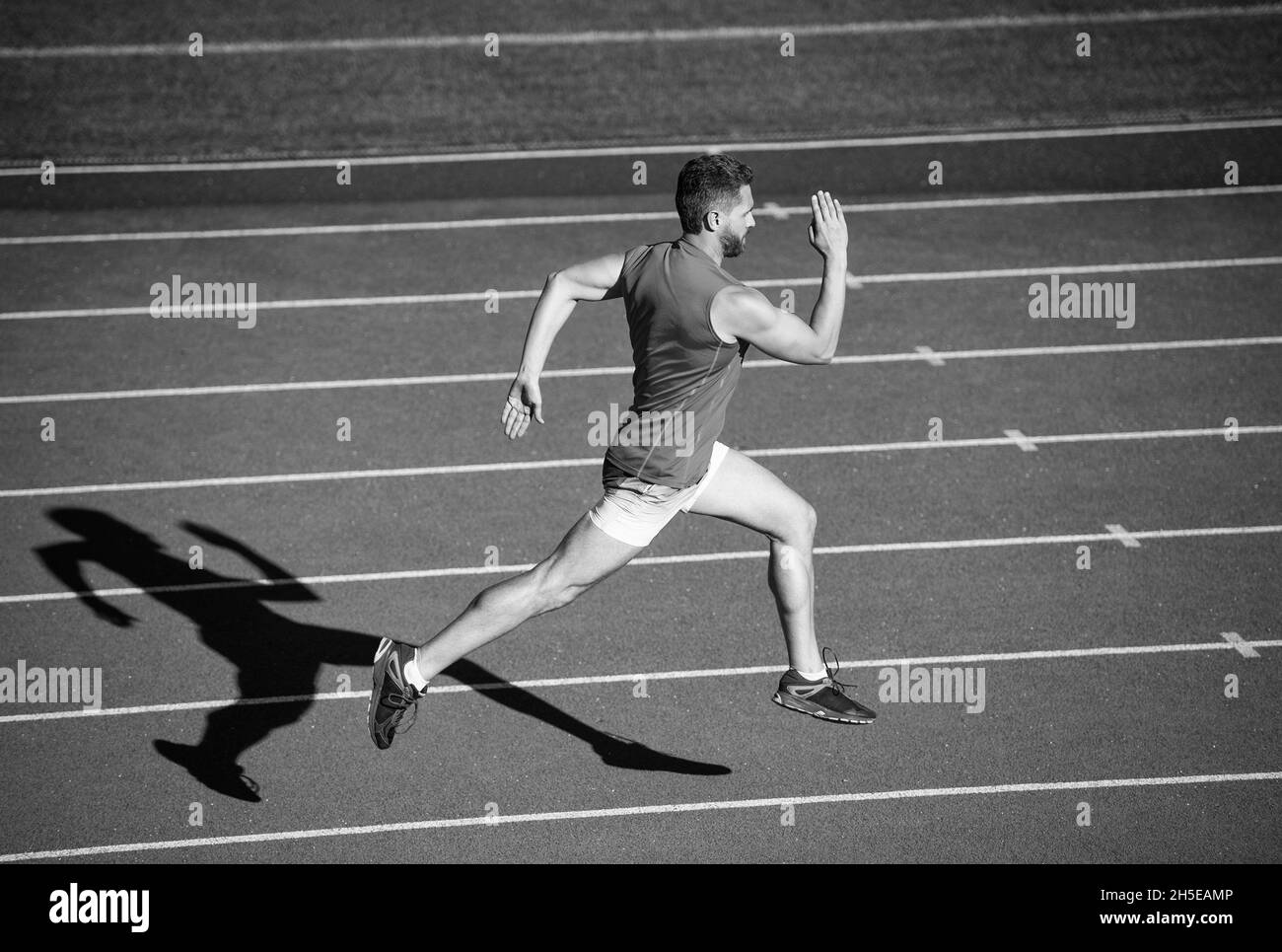 guy sprinter running from start to finish with success and speed ...