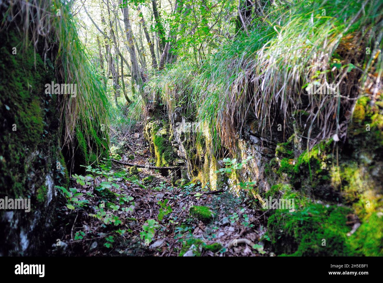 Italian trench ww1 hi-res stock photography and images - Alamy