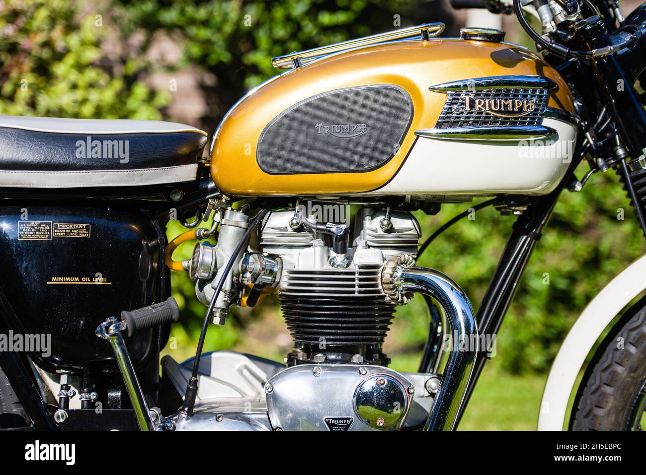 Triumph bonneville motorcycle hi-res stock photography and images - Alamy