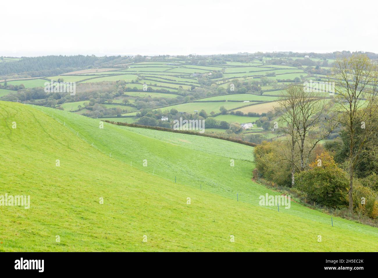 Cottage high bickington hi-res stock photography and images - Alamy